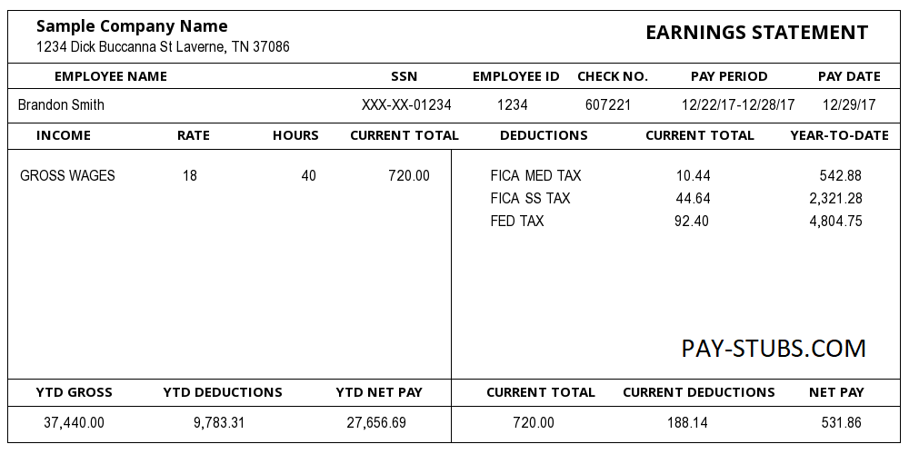 White sample pay stub
