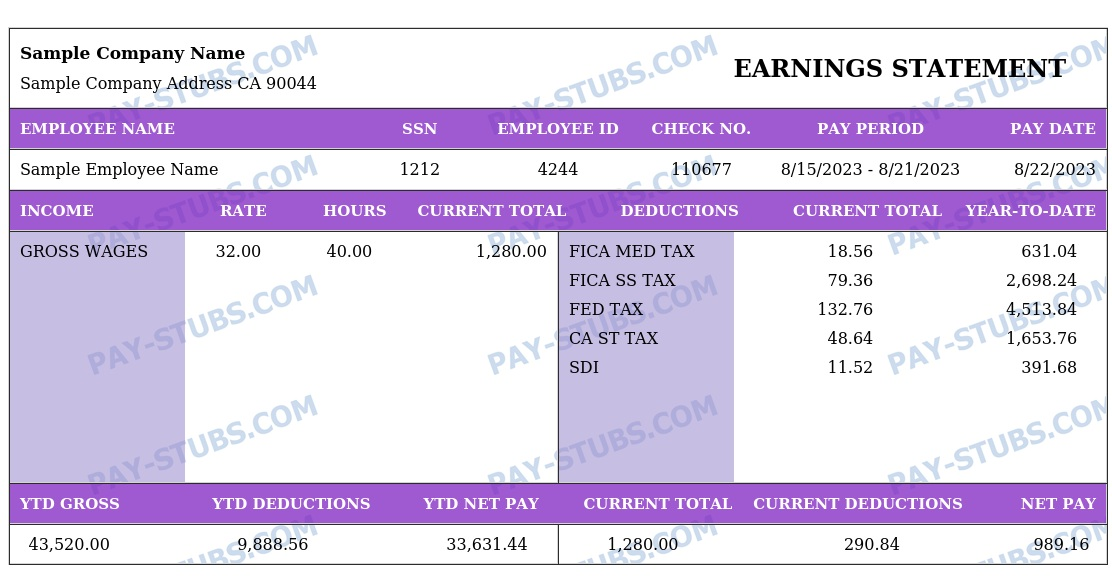 Check Stub Generator- Create Online Pay Stubs- Paycheck Maker & Check ...