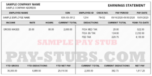 Sample Pay Stubs Template | Generate Pay Stubs | Free Pay Stub Template ...