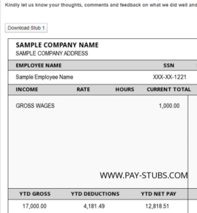 download-pay-stub - Paystub Generator - Pay-Stubs.com