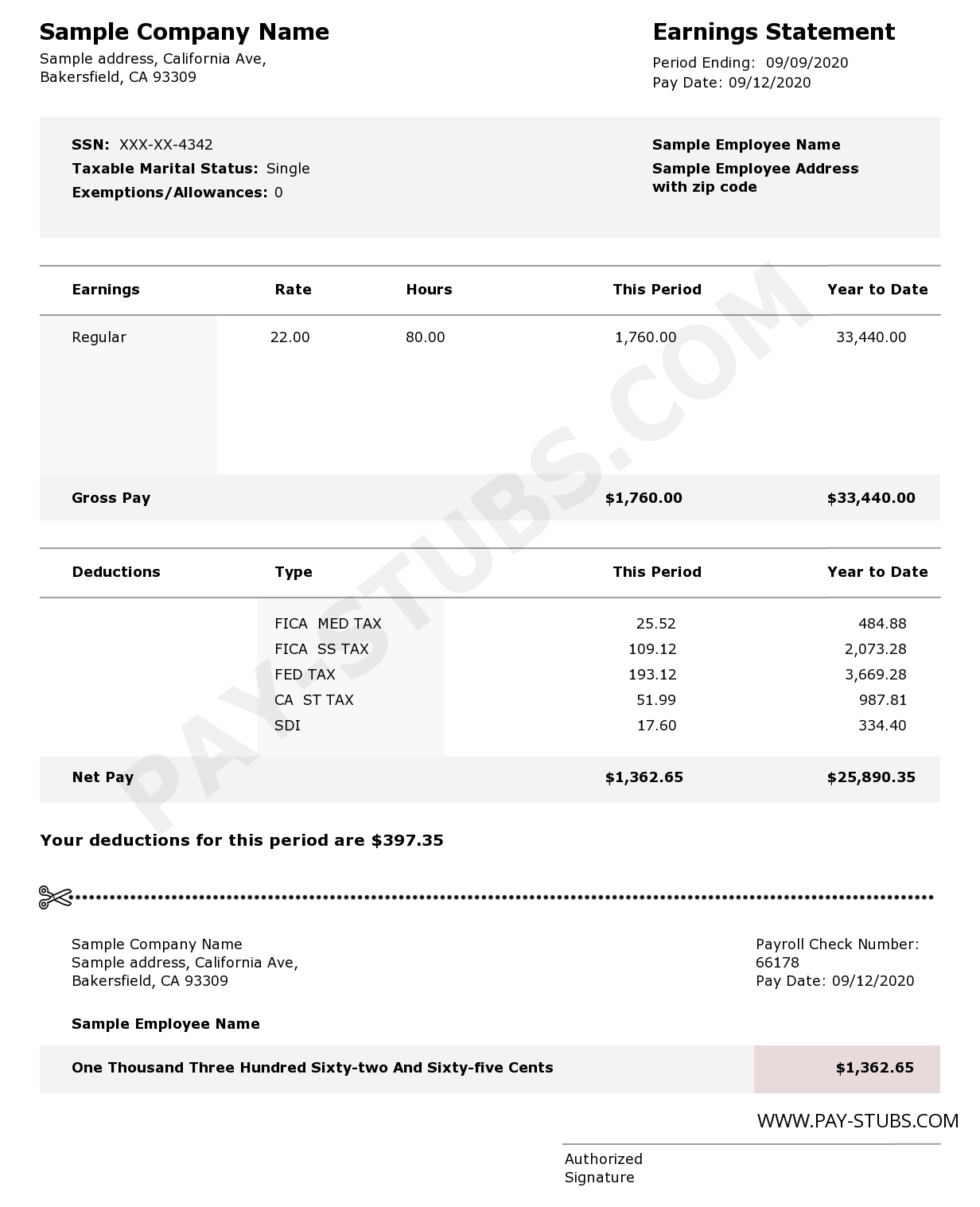 Adp Check Stubs Template