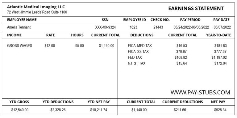 sample pay stub - Paystub Generator - Pay-Stubs.com