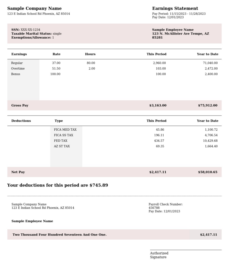 Free Pay Stub Template Generator | Sample Pay Stubs Examples | Generate ...
